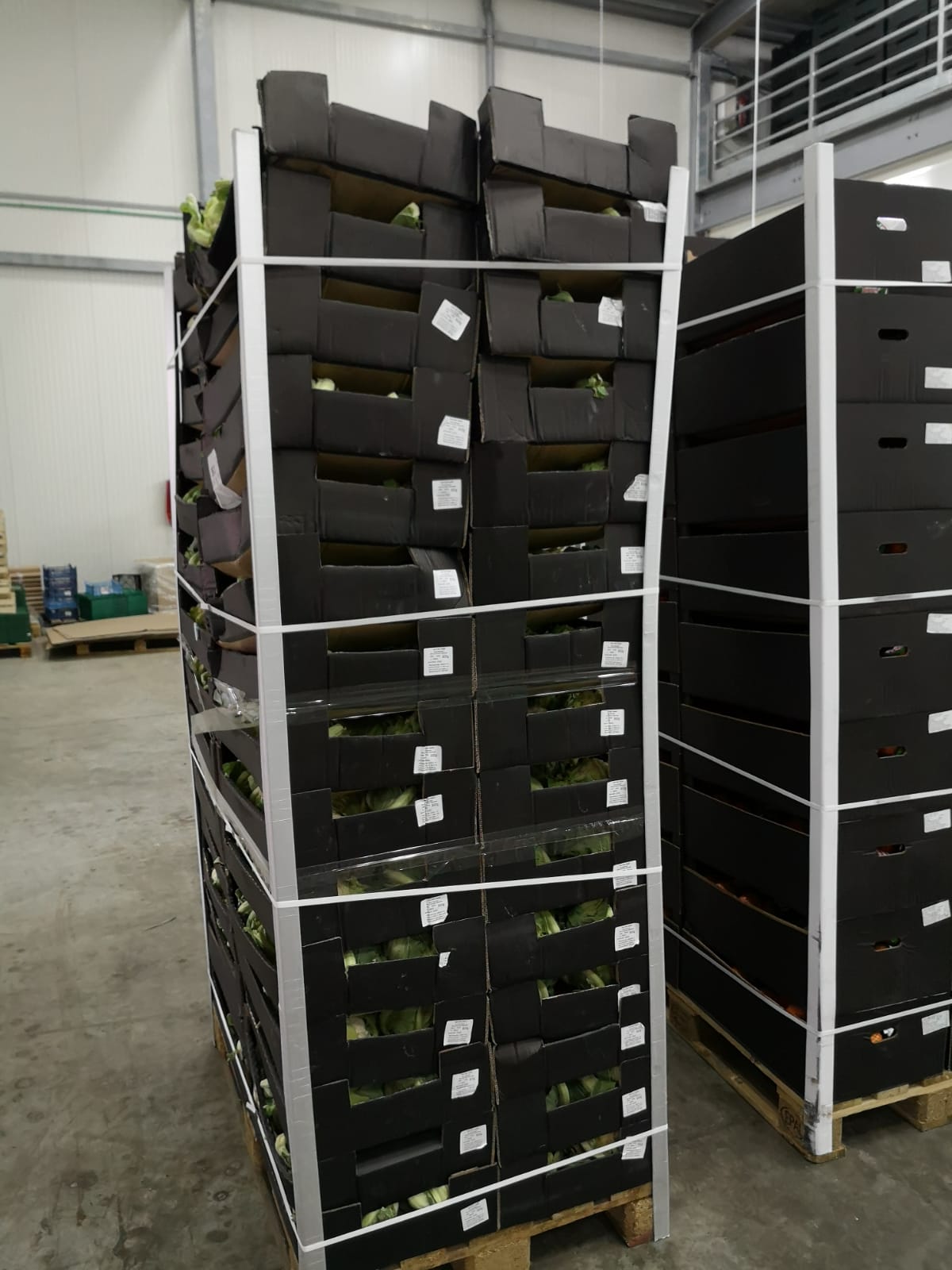 Reduce Food Waste - VeeMee program has saved over 400,000 kg